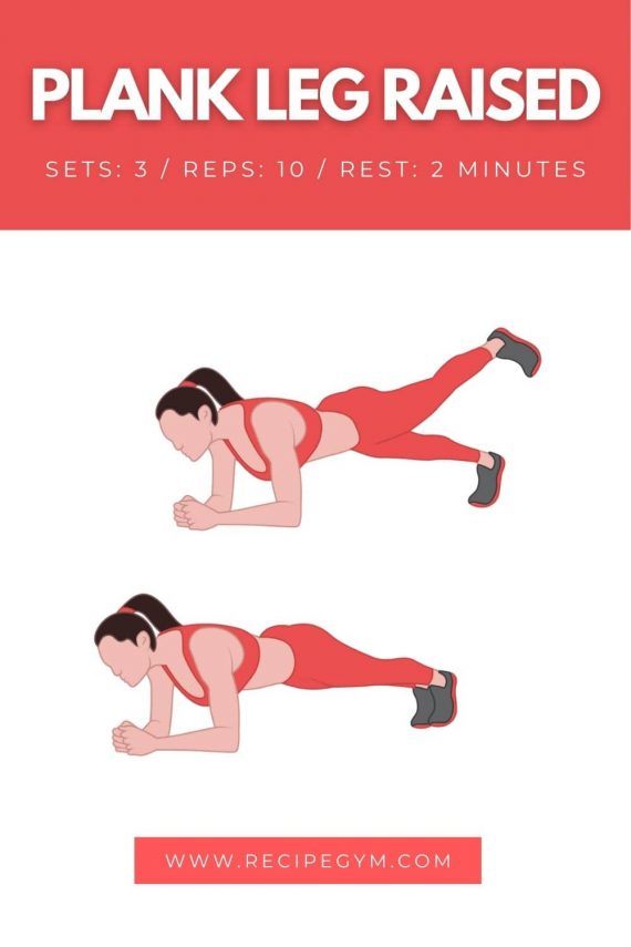 20 Minute Workout for Beginners without Equipment - Recipe Gym
